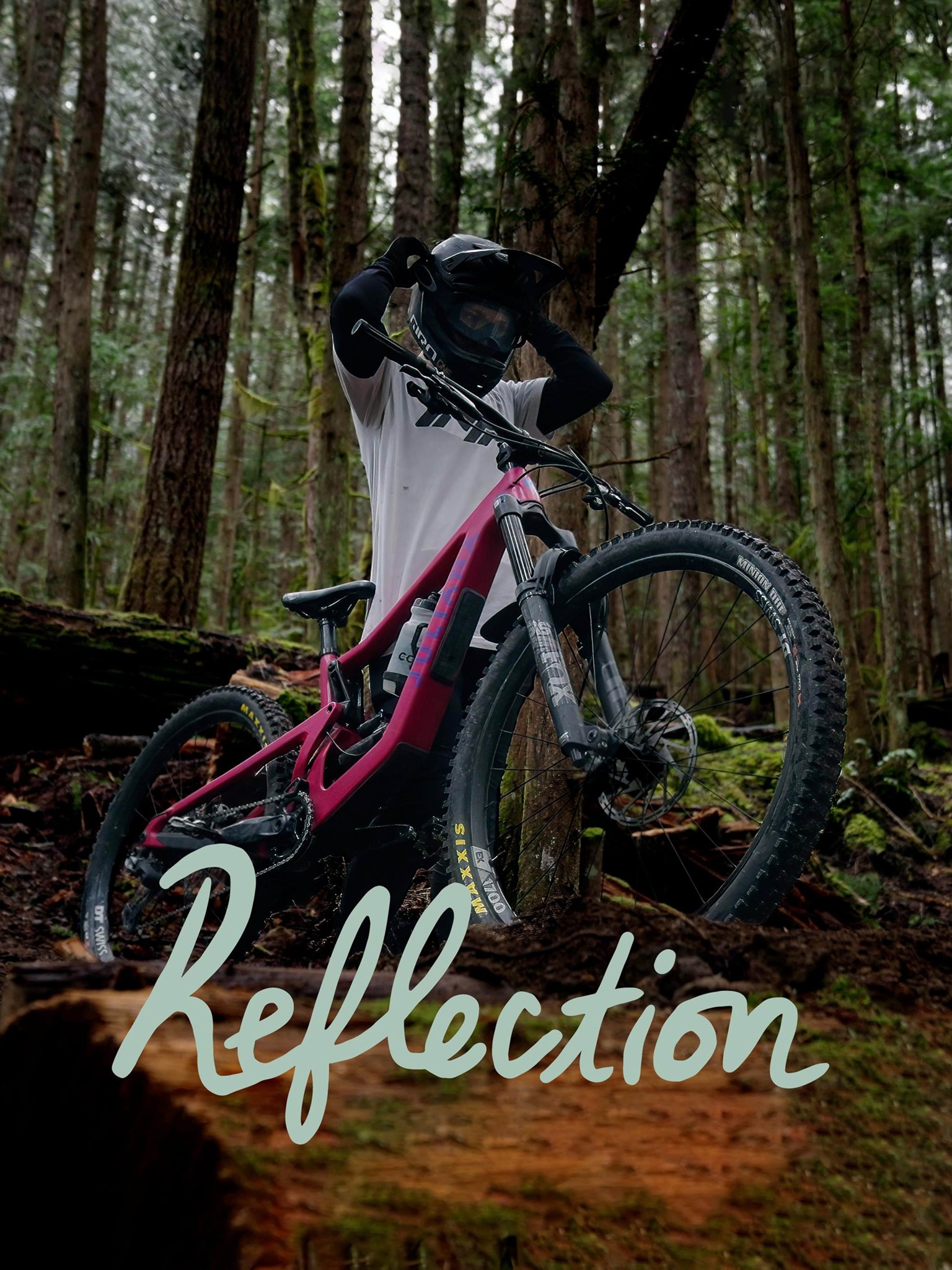 Reflection Pictures | Rotten Tomatoes