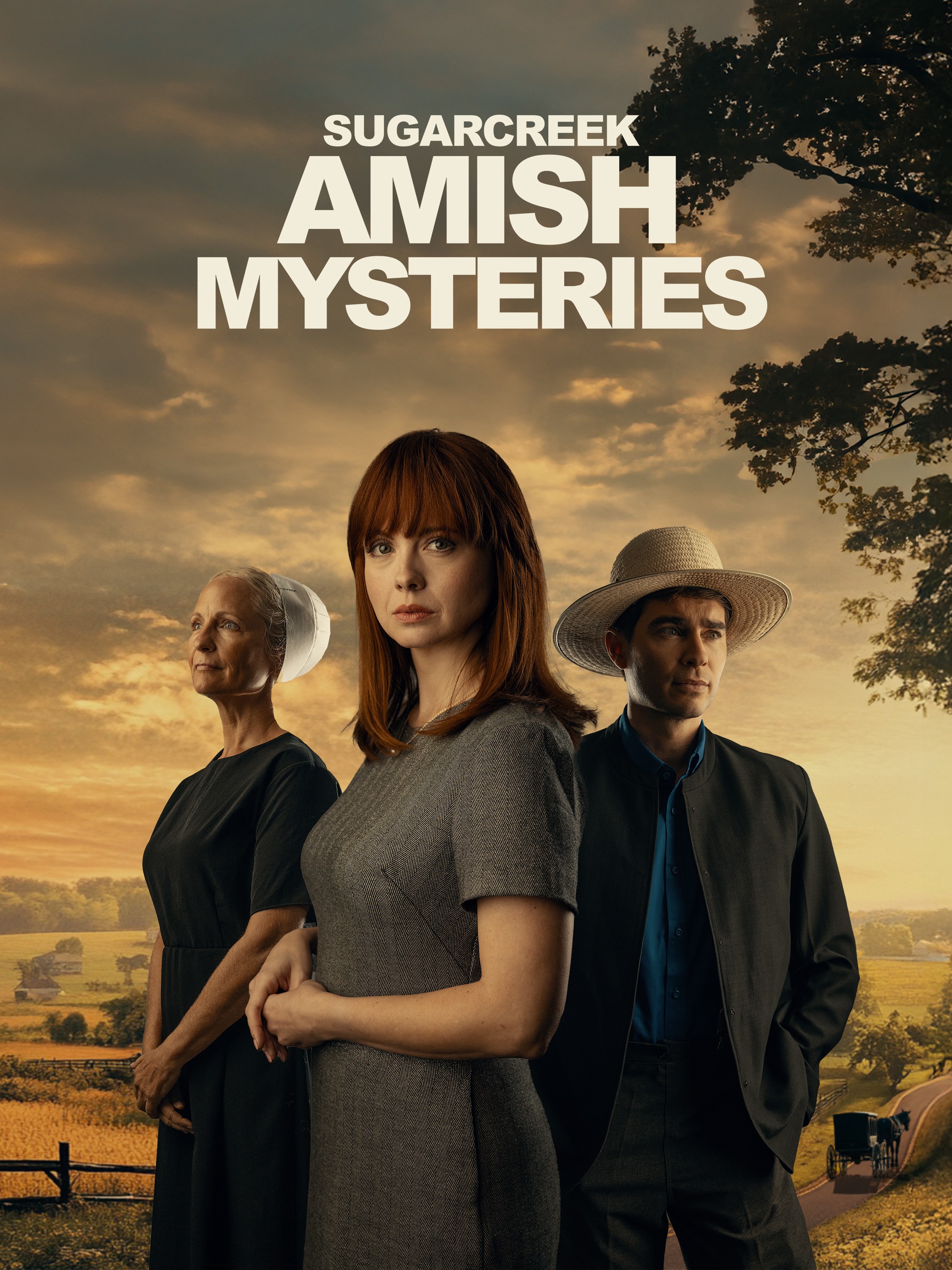 Sugarcreek Amish Mysteries: Blessings in Disguise Pictures | Rotten ...