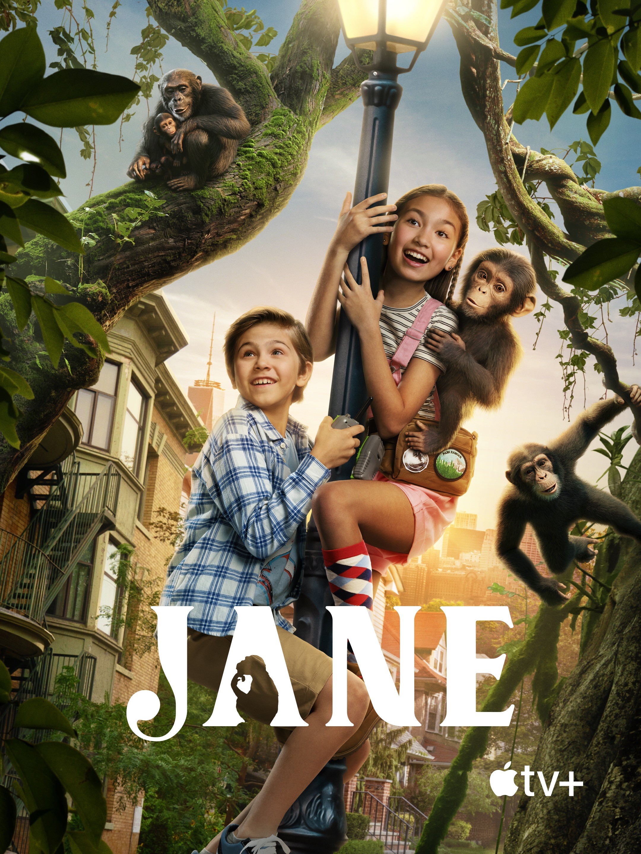 Pan Troglodytes Pictures | Rotten Tomatoes