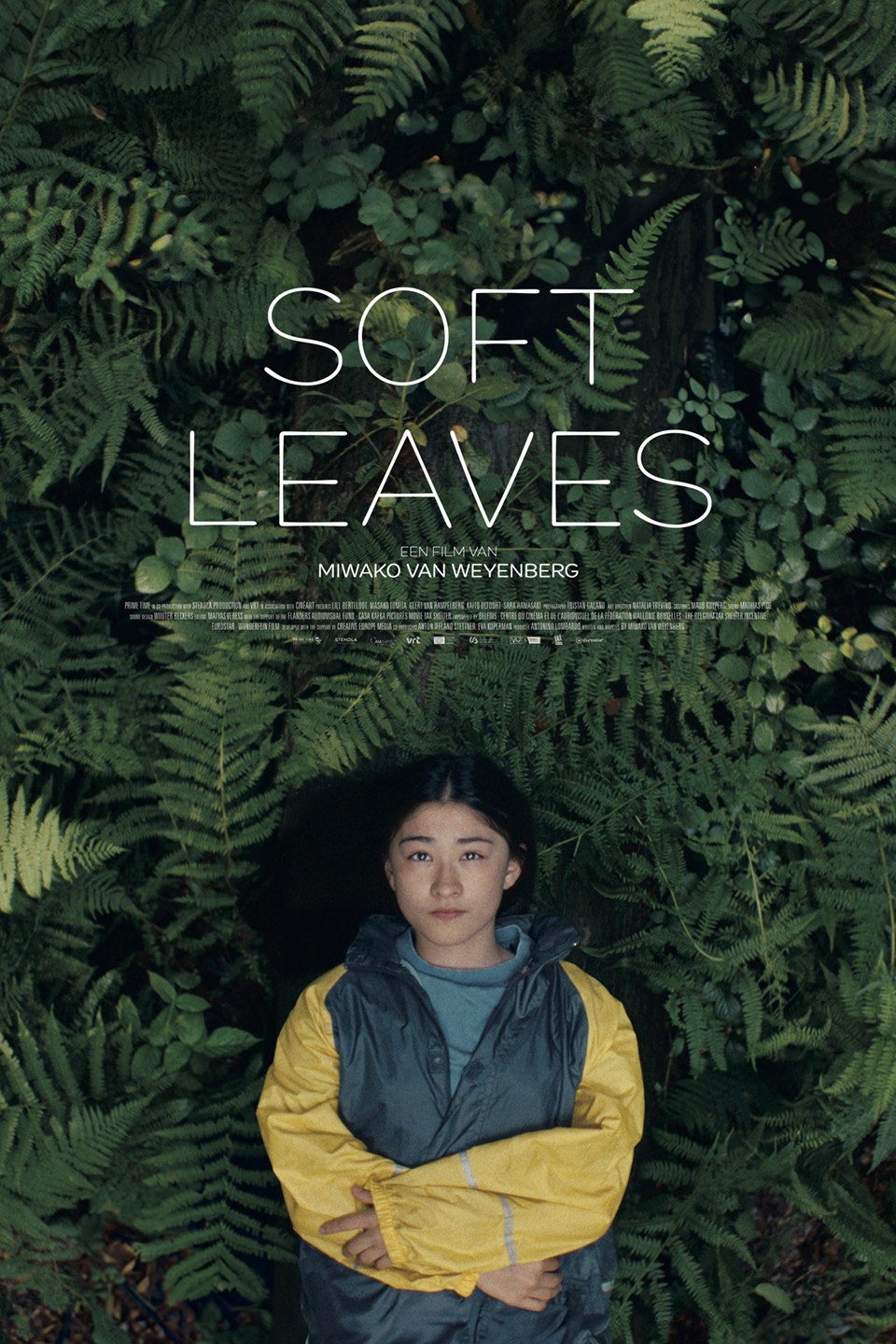 Soft Leaves Pictures | Rotten Tomatoes