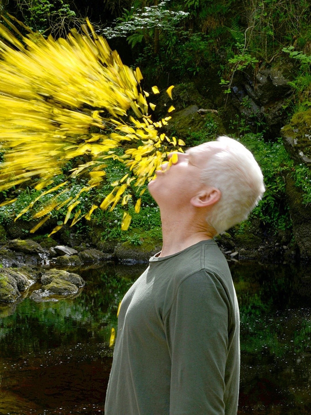Andy Goldsworthy Rivers And Tides