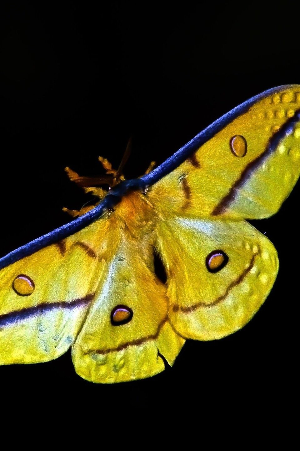 Alien Empire | Rotten Tomatoes