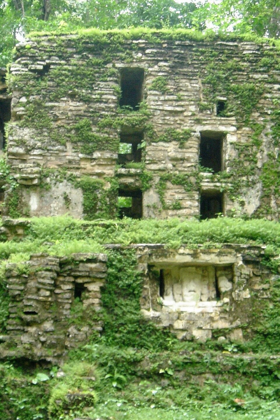 The Ancient Maya: Power Centers Pictures | Rotten Tomatoes