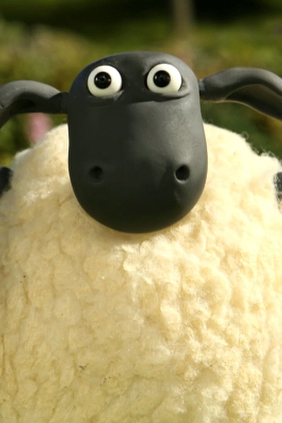 Shape Up With Shaun Pictures - Rotten Tomatoes