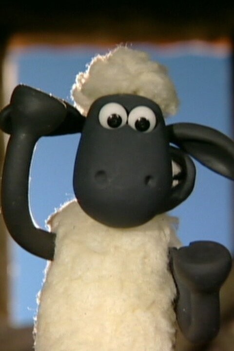 Saturday Night Shaun Pictures | Rotten Tomatoes