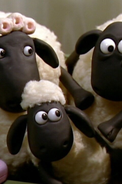 Little Sheep of Horrors Pictures | Rotten Tomatoes