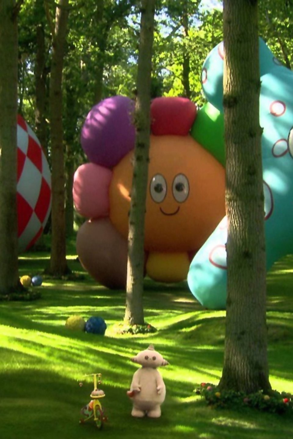 Washing the Haahoos Pictures | Rotten Tomatoes