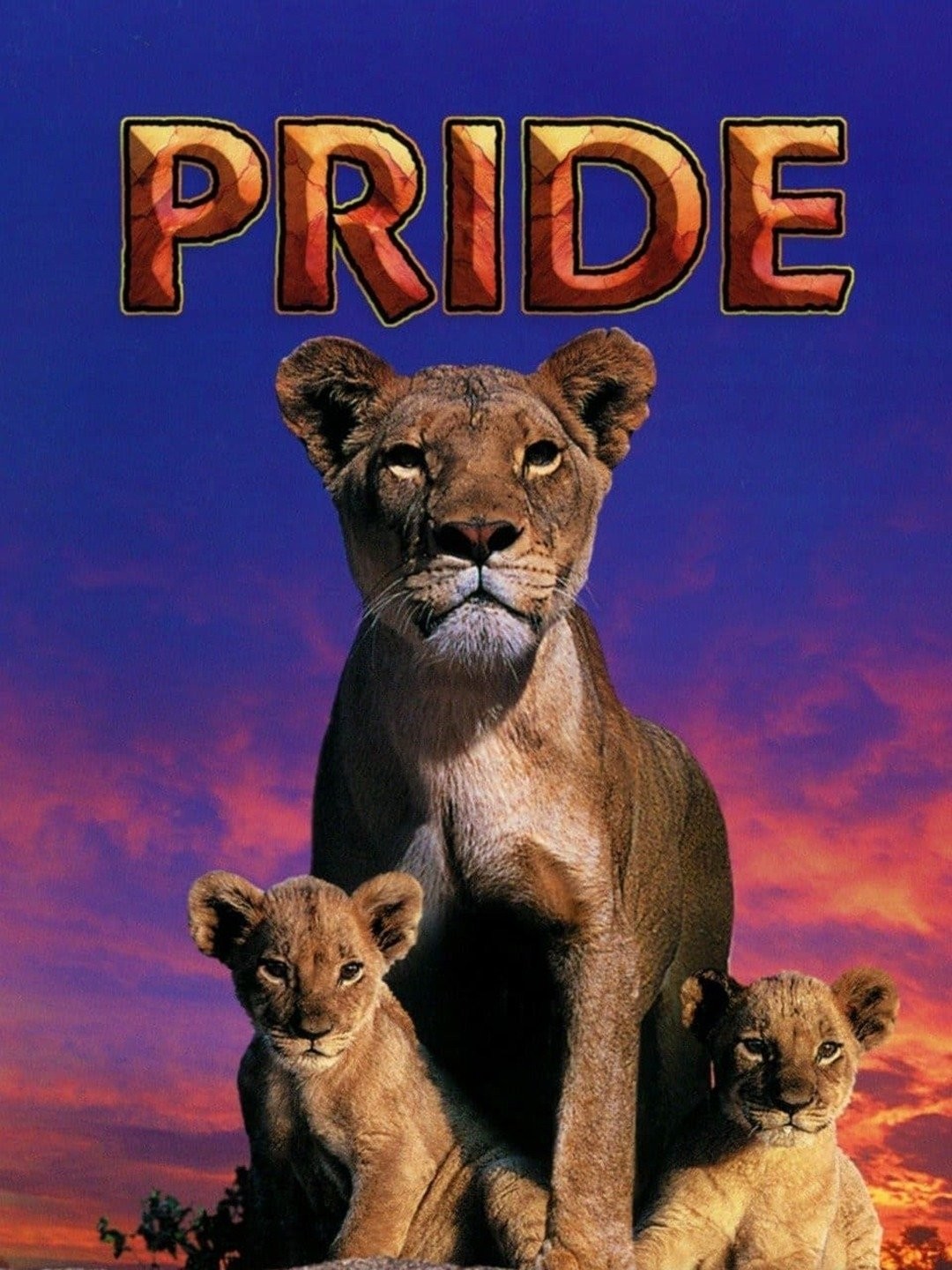 Pride Pictures | Rotten Tomatoes
