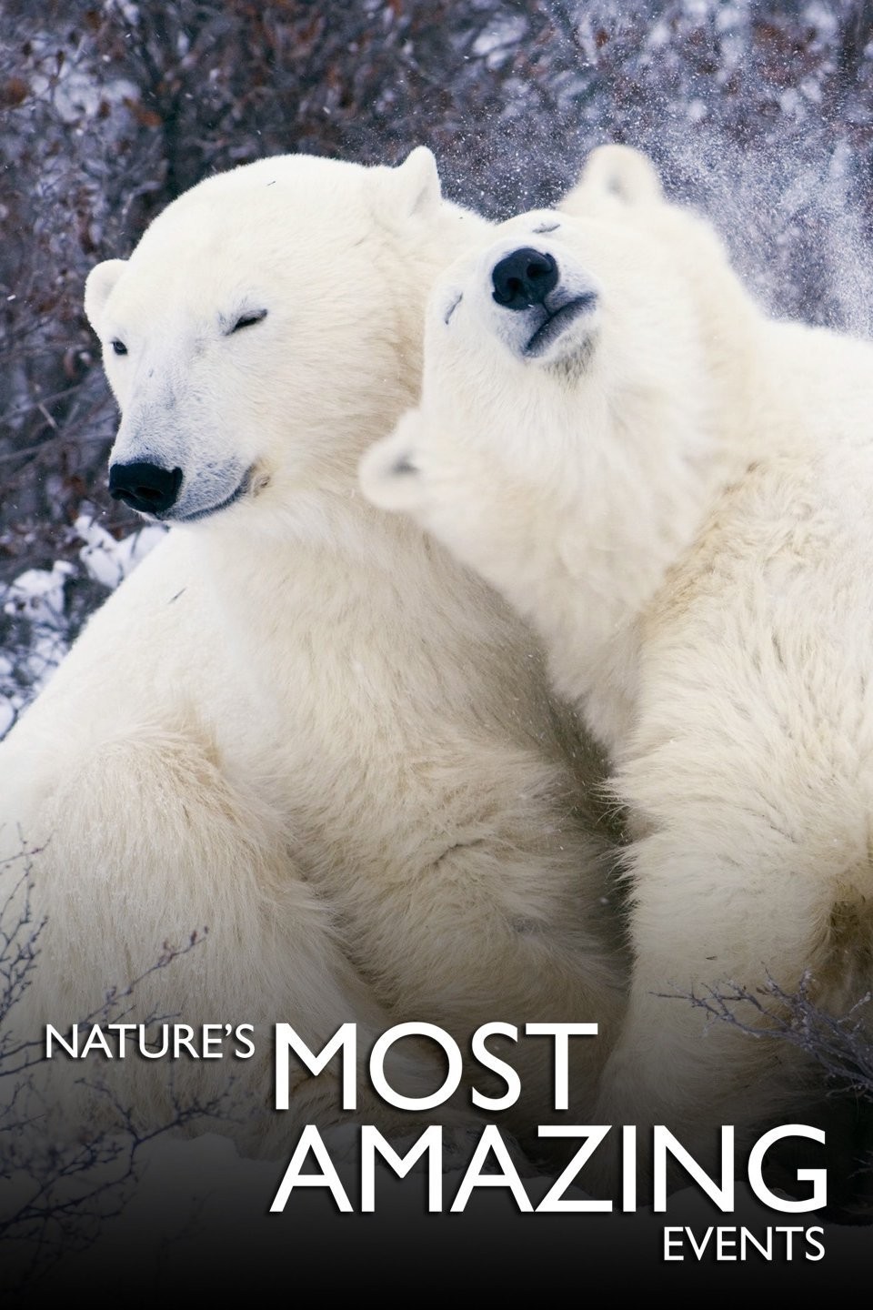 Nature's Most Amazing Events Season 1 | Rotten Tomatoes