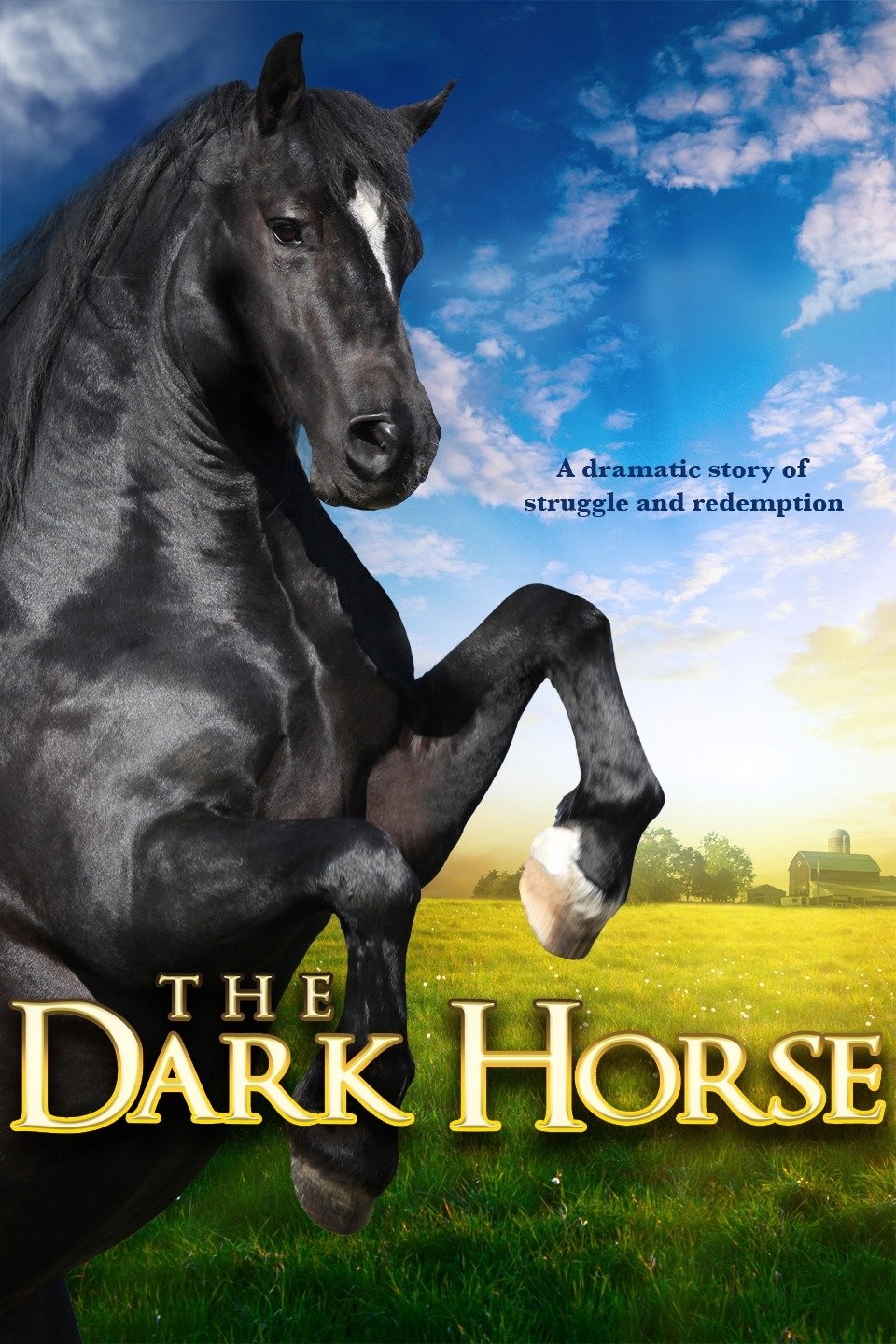 The Dark Horse Pictures | Rotten Tomatoes