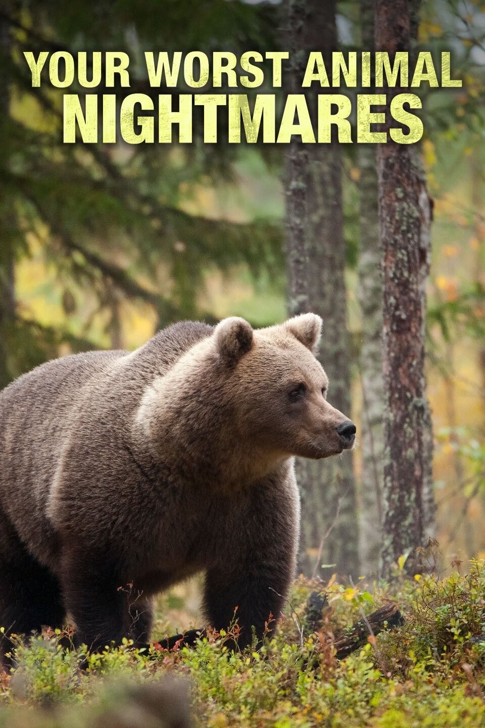 Your Worst Animal Nightmares | Rotten Tomatoes