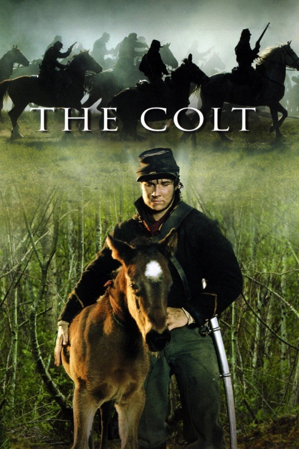 The Colt | Rotten Tomatoes