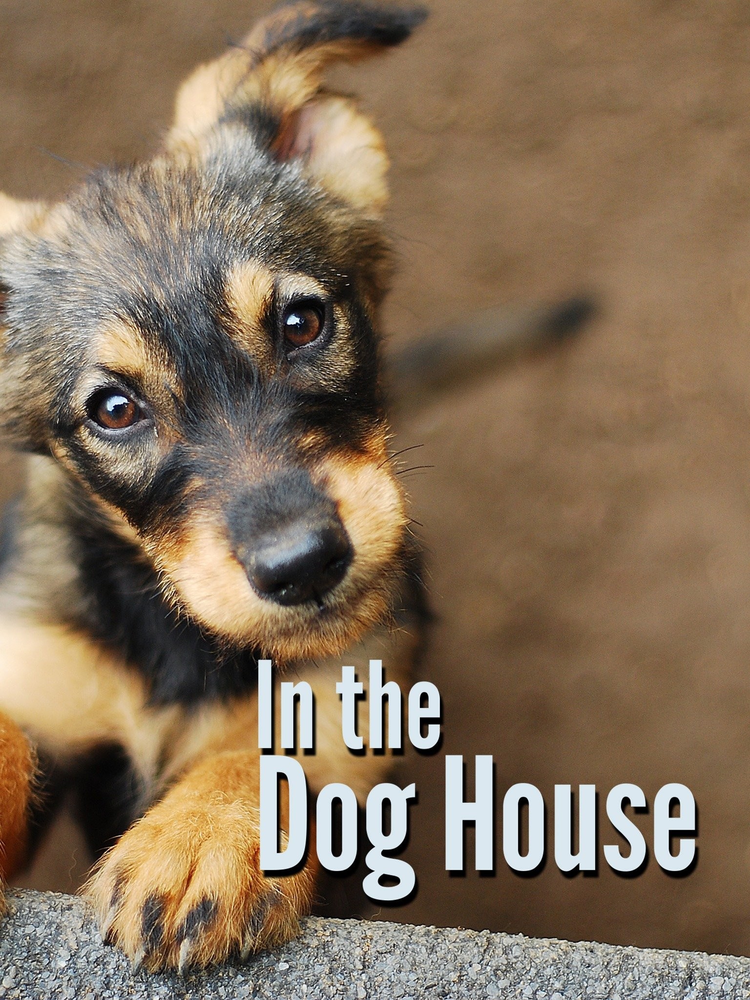 In the Dog House | Rotten Tomatoes