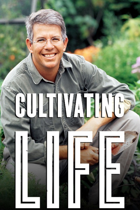 Seed Pictures | Rotten Tomatoes