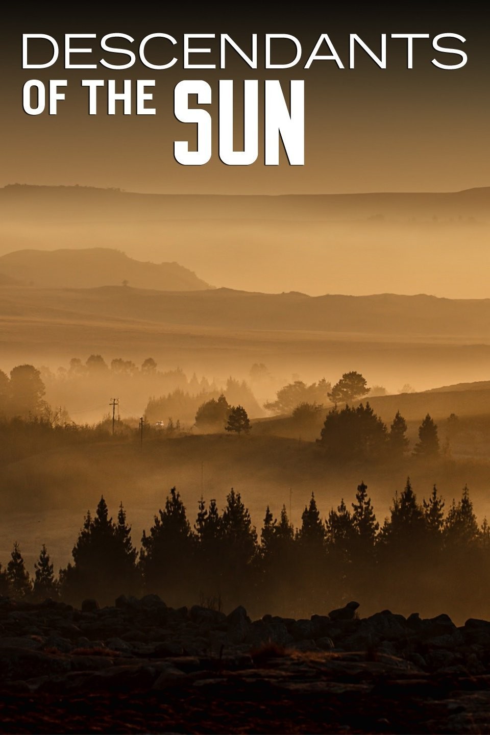Descendants of the Sun | Rotten Tomatoes