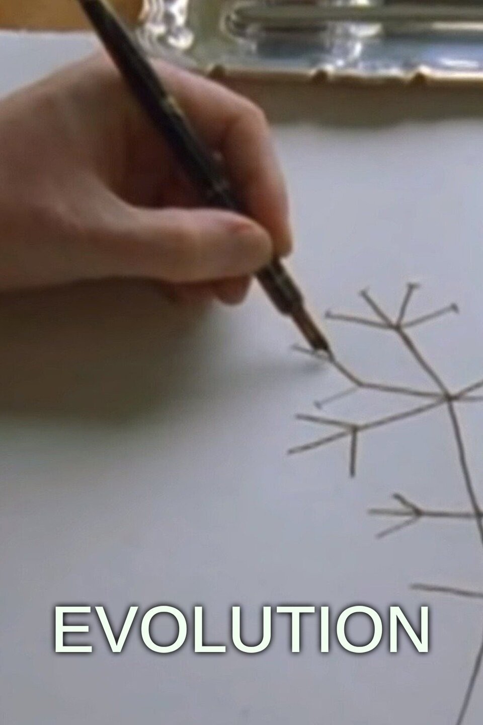 Evolution Pictures | Rotten Tomatoes