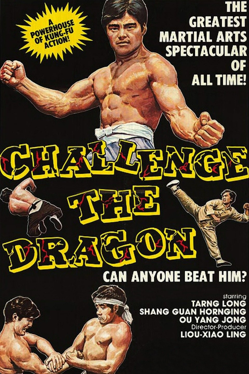 Challenge the Dragon | Rotten Tomatoes