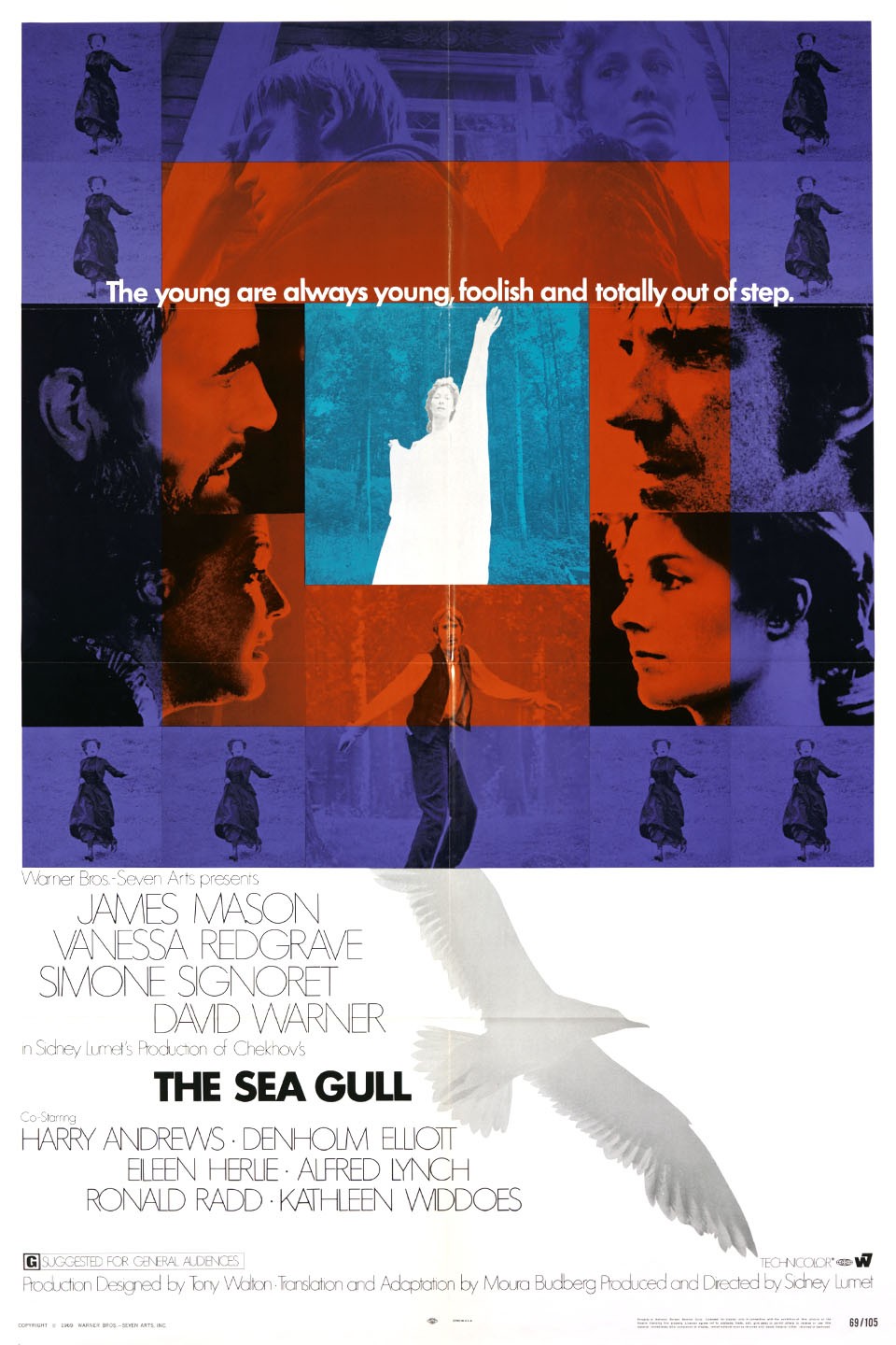 The Sea Gull | Rotten Tomatoes
