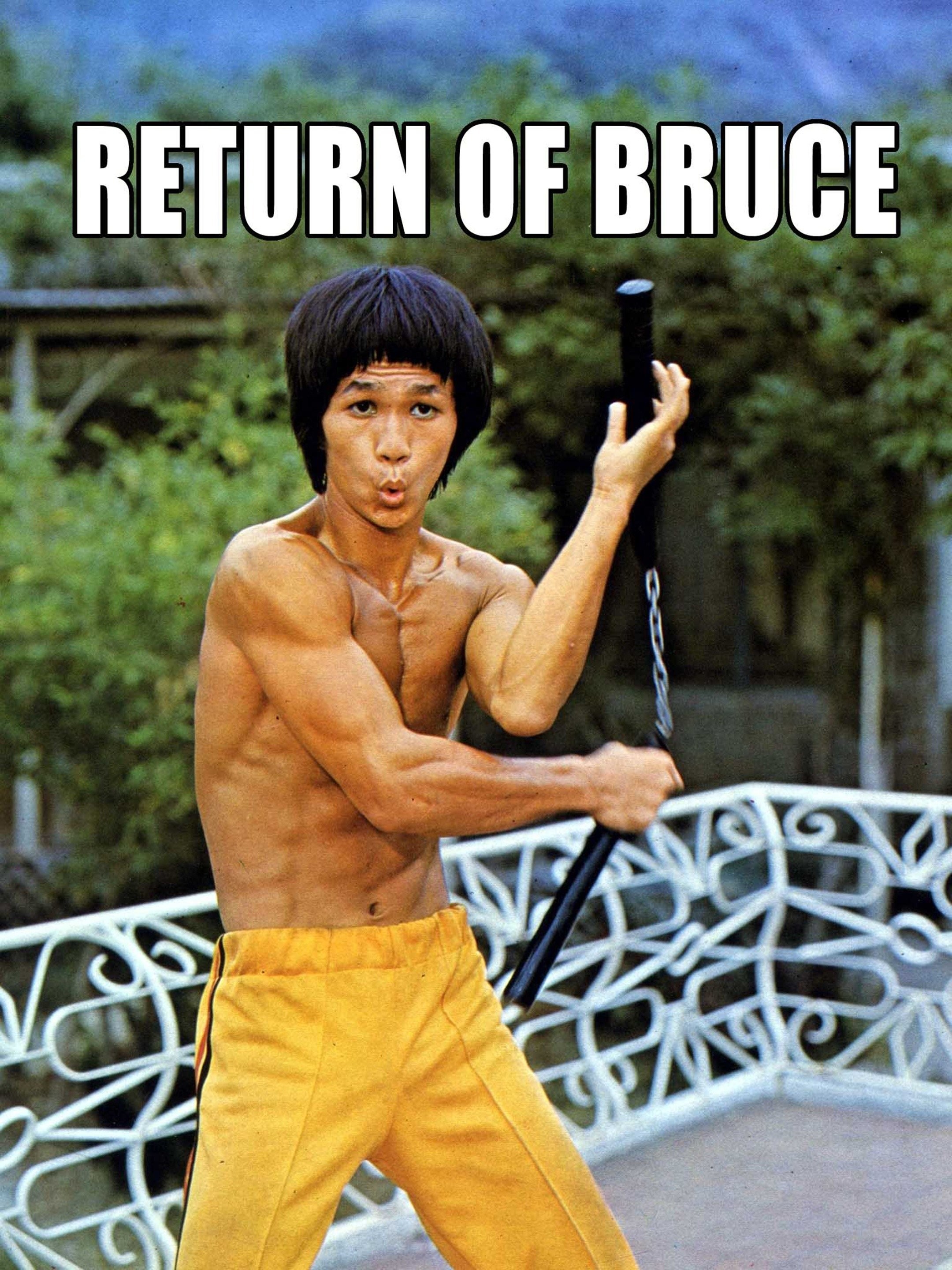 Return of Bruce Pictures | Rotten Tomatoes