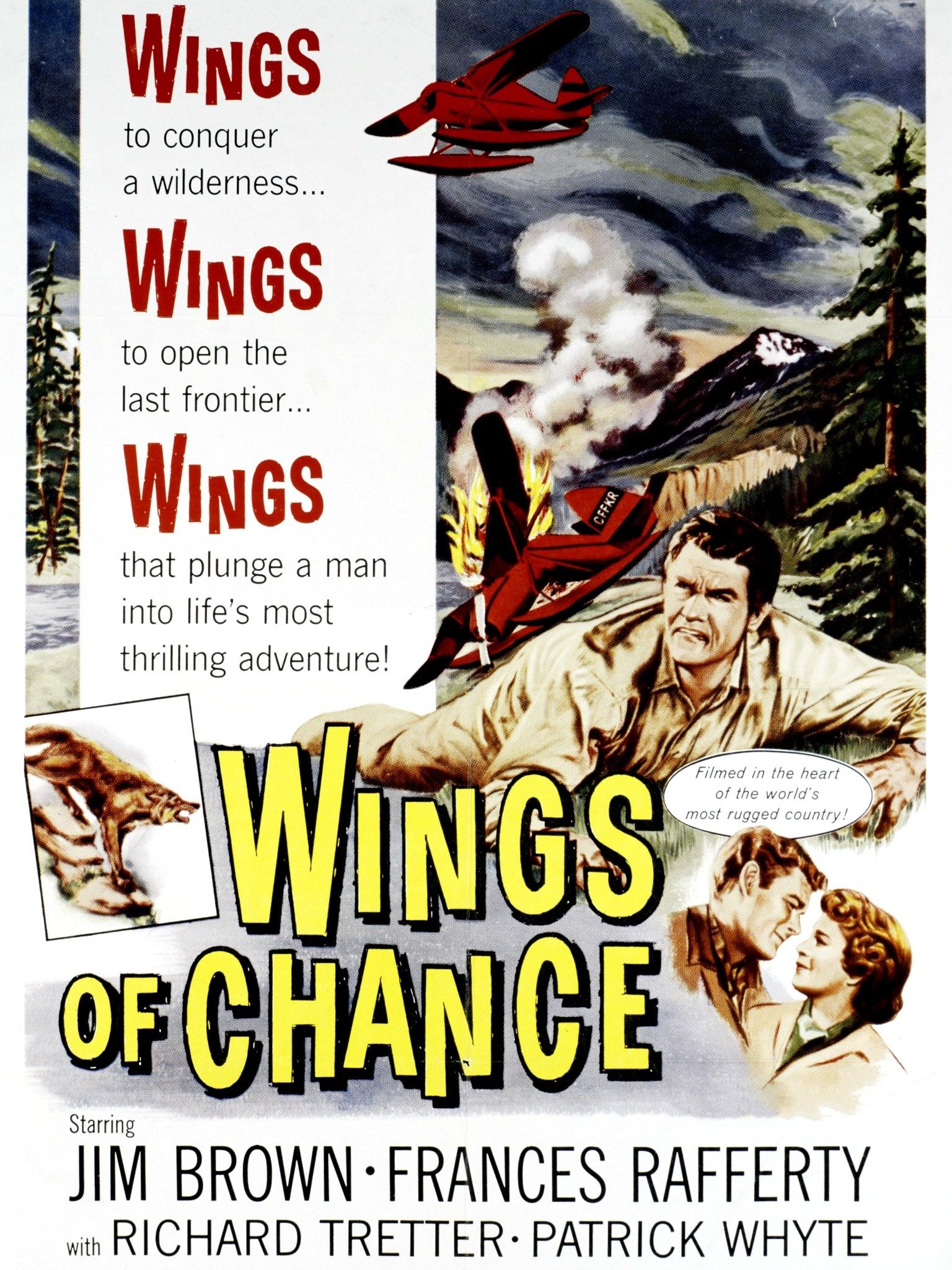 Wings of Chance Pictures | Rotten Tomatoes