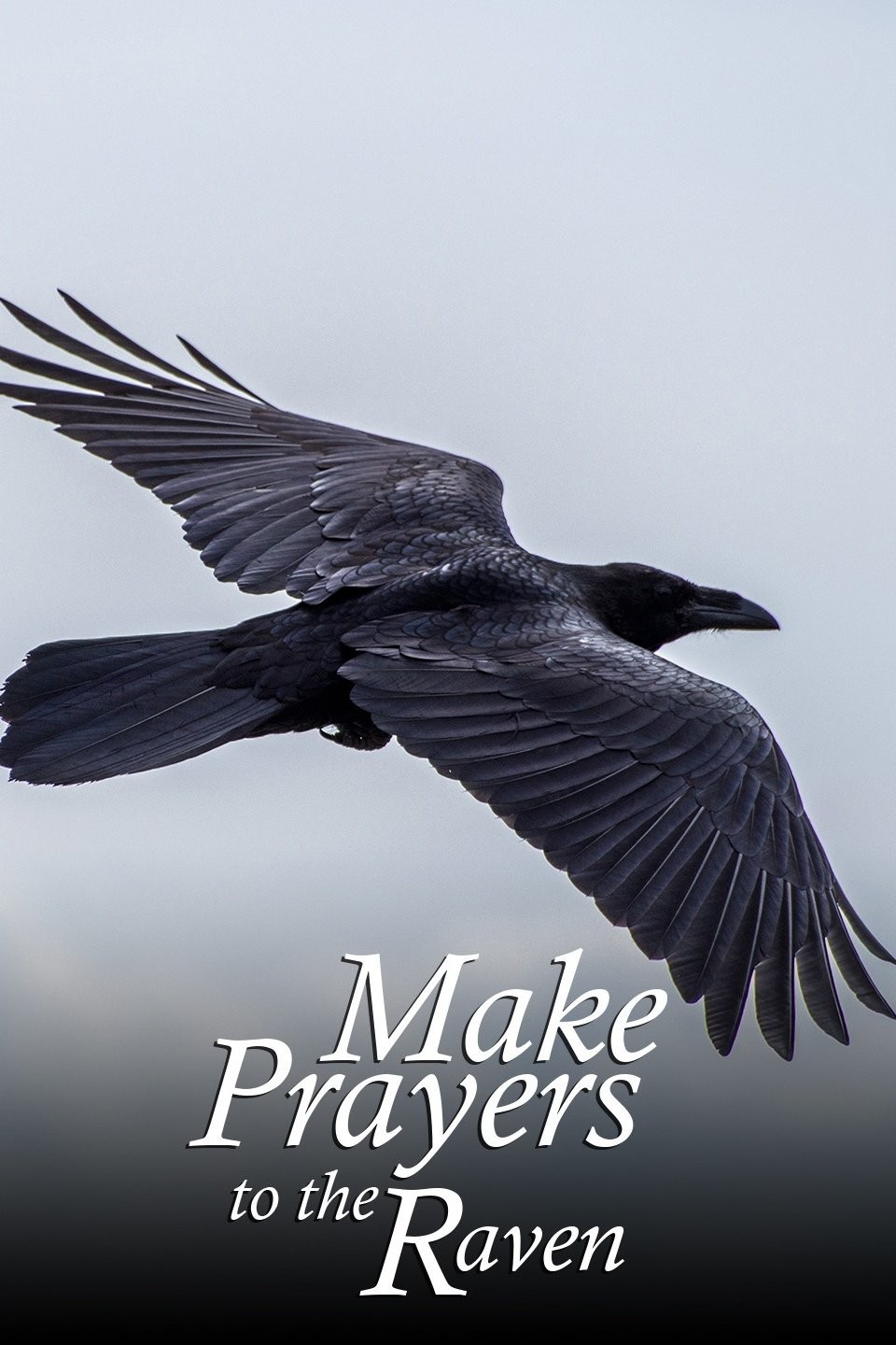 Make Prayers to the Raven | Rotten Tomatoes
