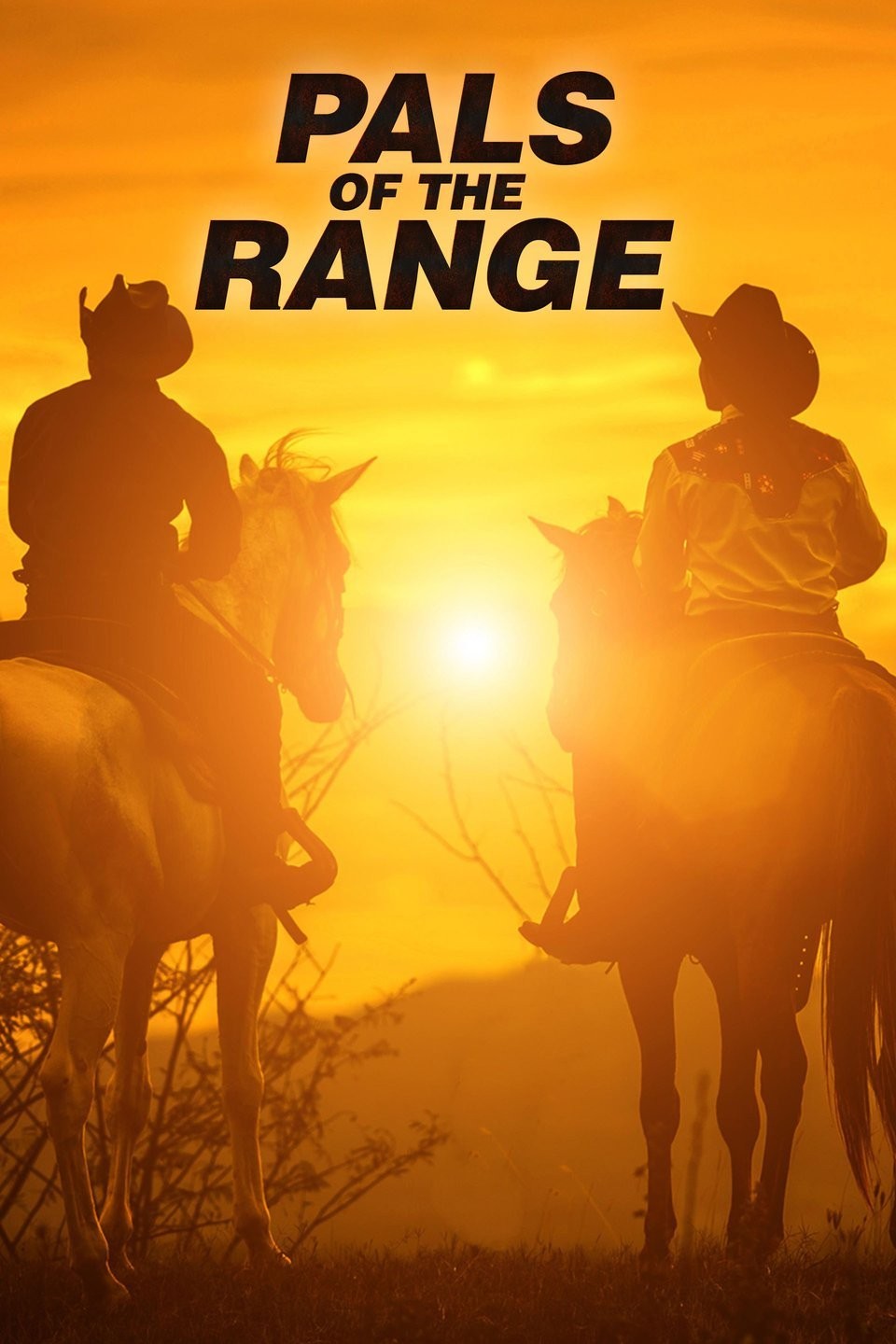 Pals of the Range | Rotten Tomatoes