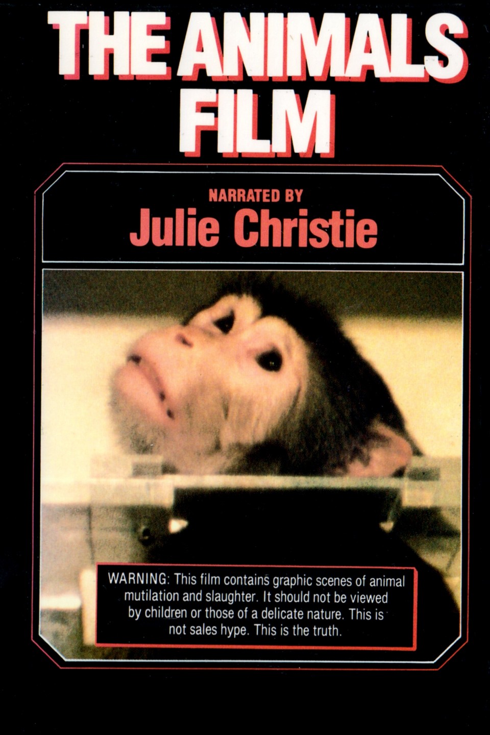 The Animals Film | Rotten Tomatoes