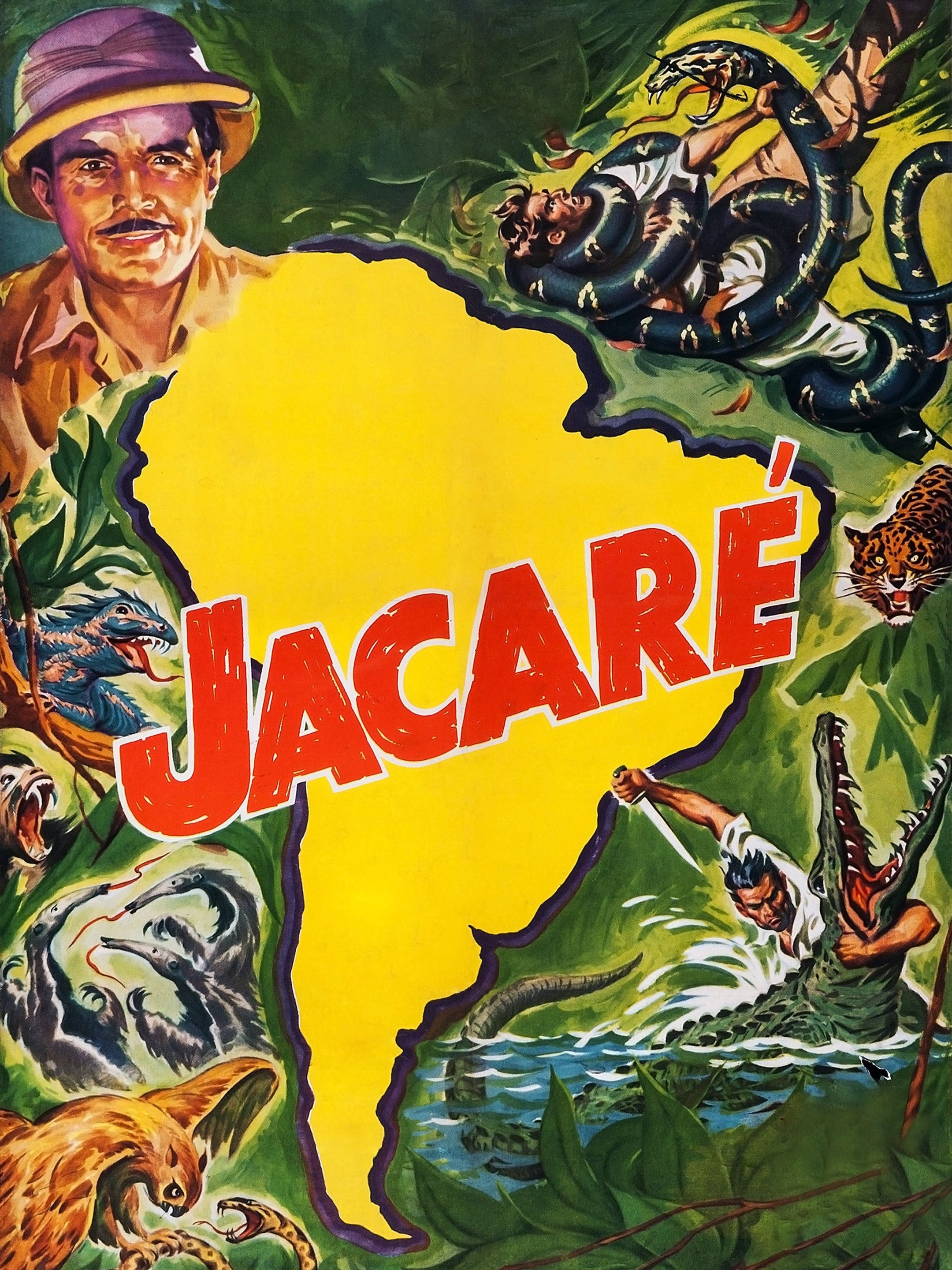 Jacare Pictures | Rotten Tomatoes