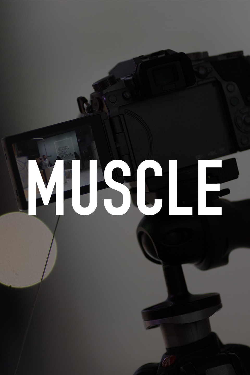 Muscle | Rotten Tomatoes