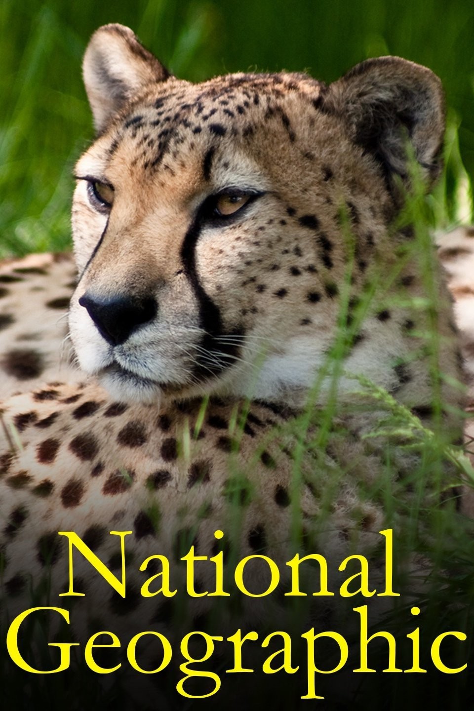 National Geographic | Rotten Tomatoes