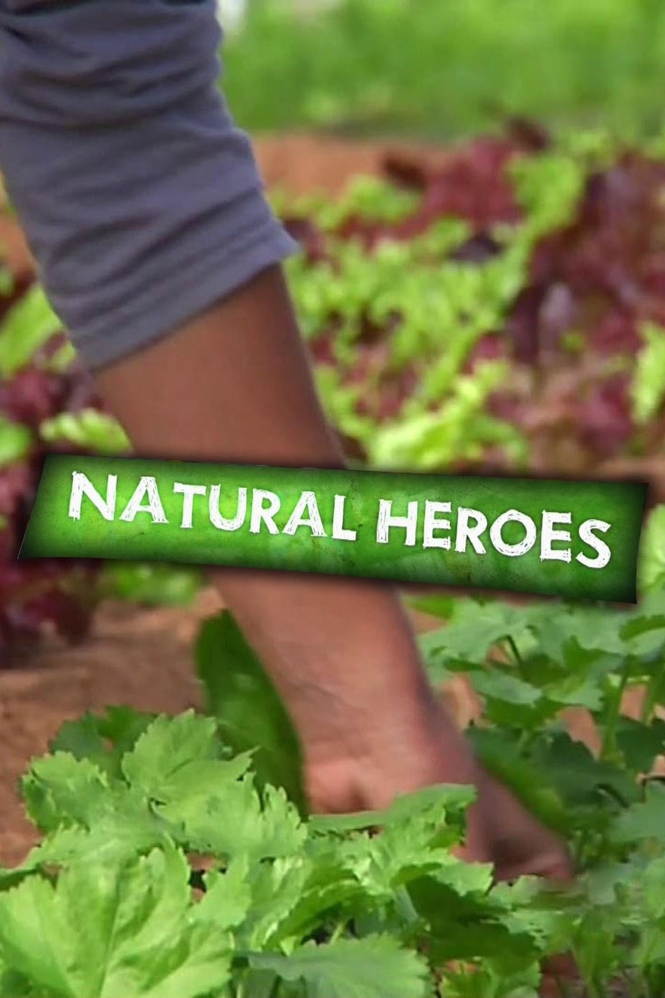 Natural Heroes | Rotten Tomatoes