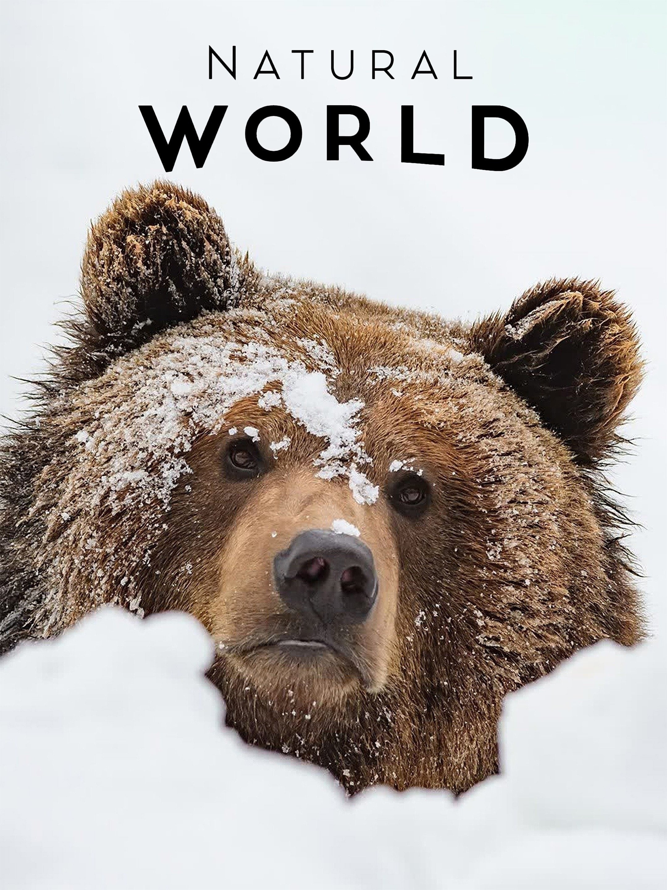 Natural World Pictures | Rotten Tomatoes