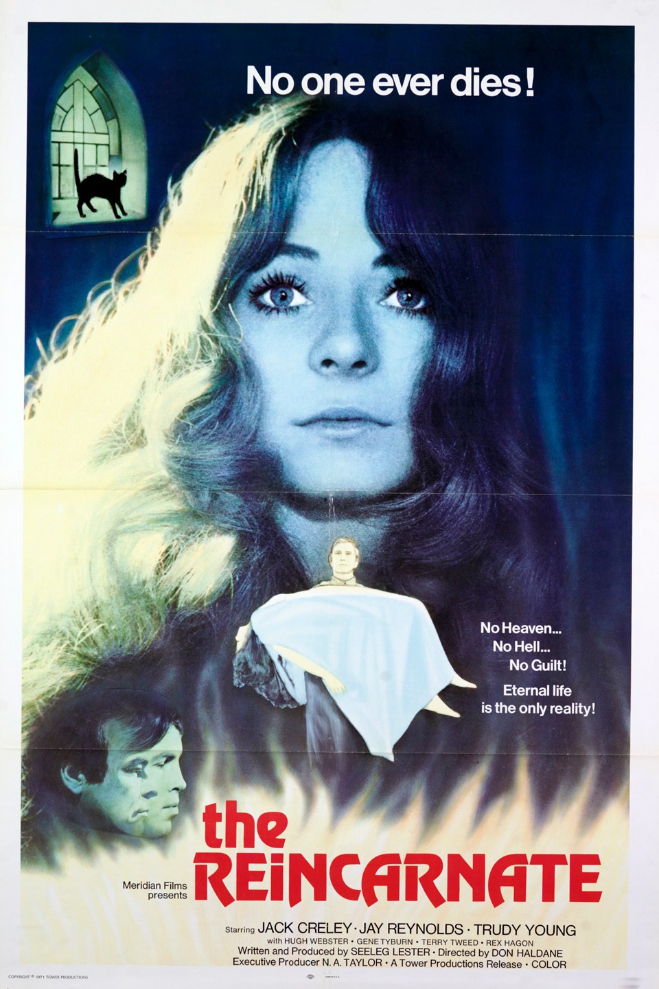 The Reincarnate Pictures | Rotten Tomatoes