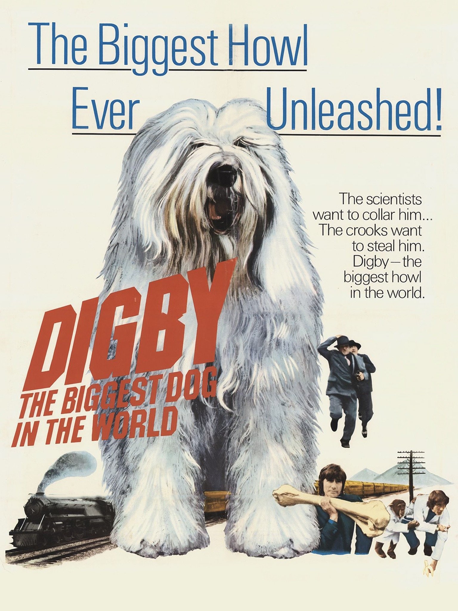 Digby, the Biggest Dog in the World Pictures | Rotten Tomatoes