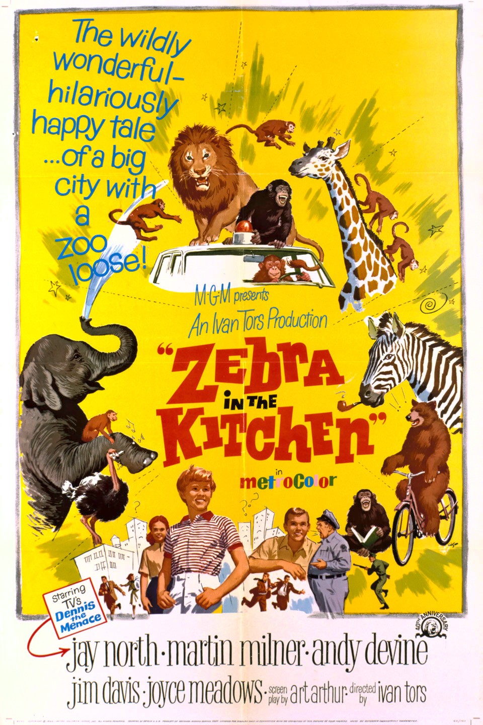 Zebra in the Kitchen | Rotten Tomatoes