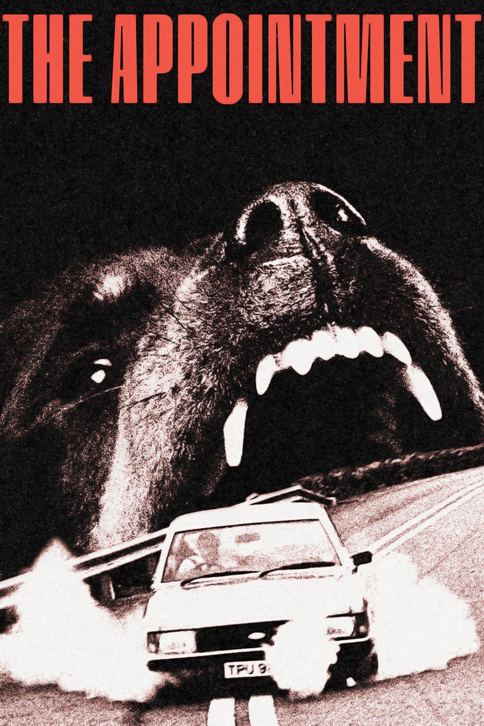 The Appointment | Rotten Tomatoes