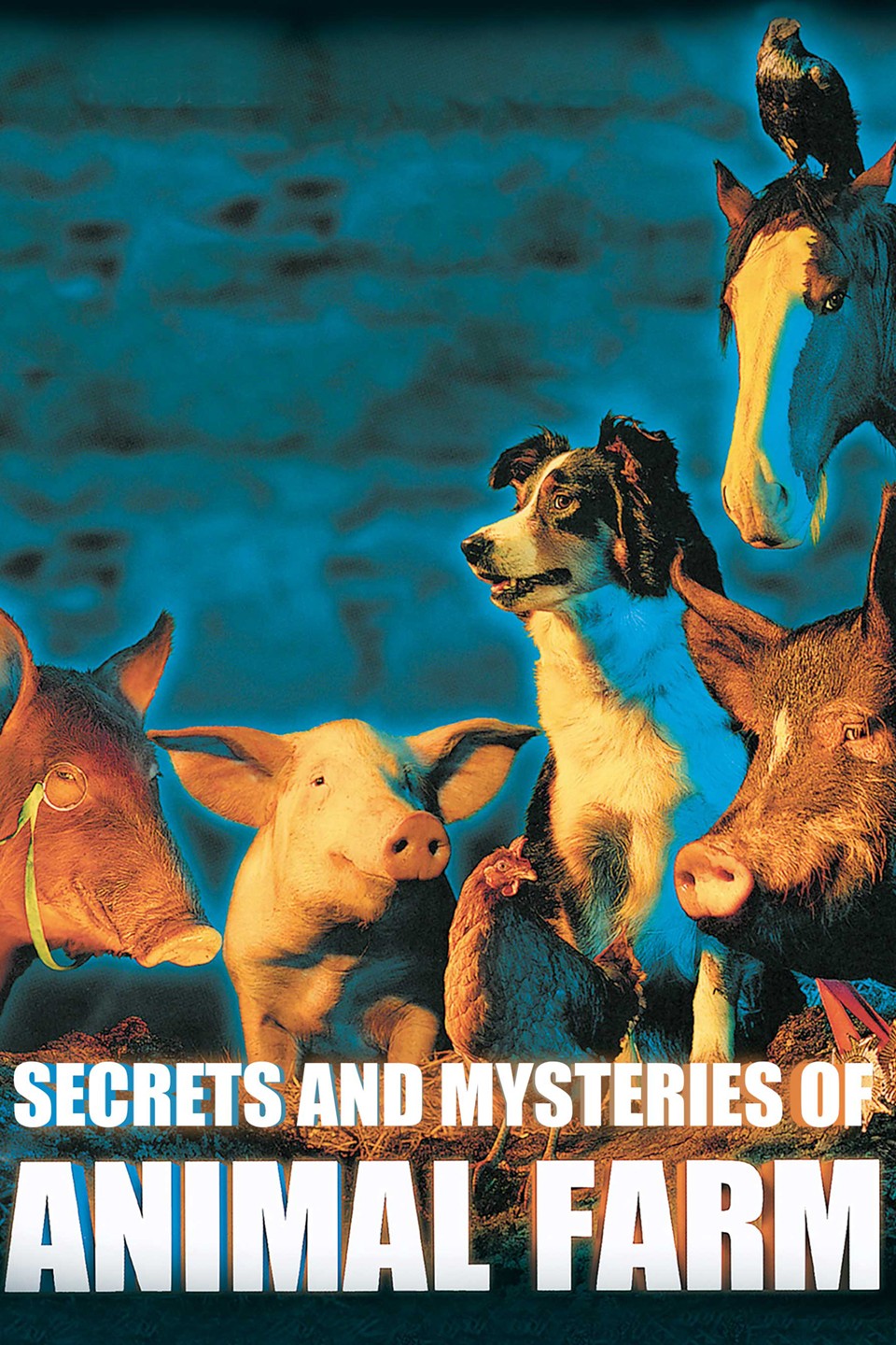Secrets and Mysteries of Animal Farm Pictures | Rotten Tomatoes