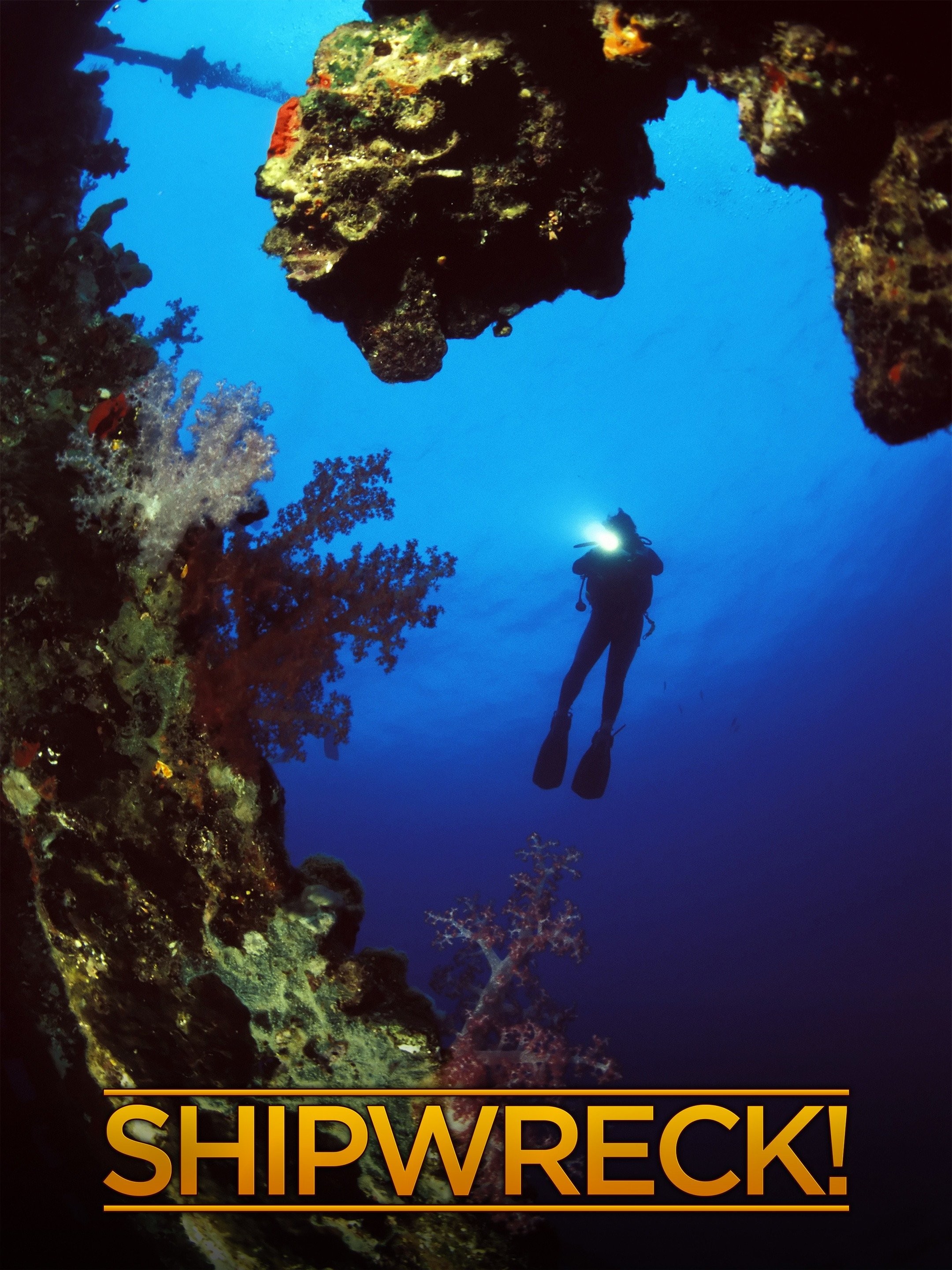 Shipwreck! Pictures | Rotten Tomatoes