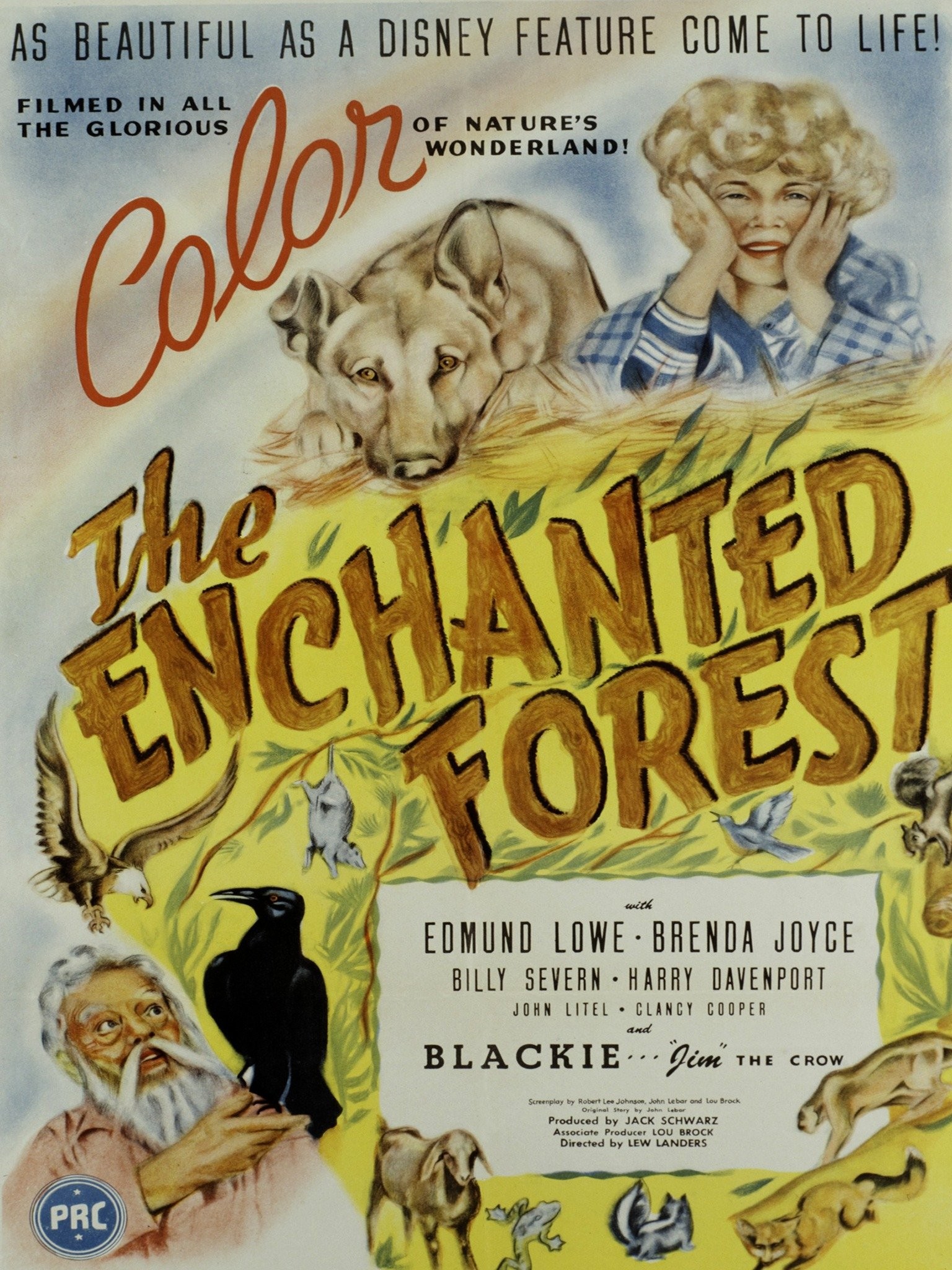The Enchanted Forest Pictures | Rotten Tomatoes