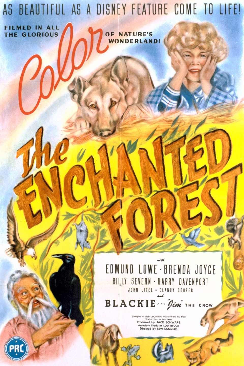The Enchanted Forest | Rotten Tomatoes