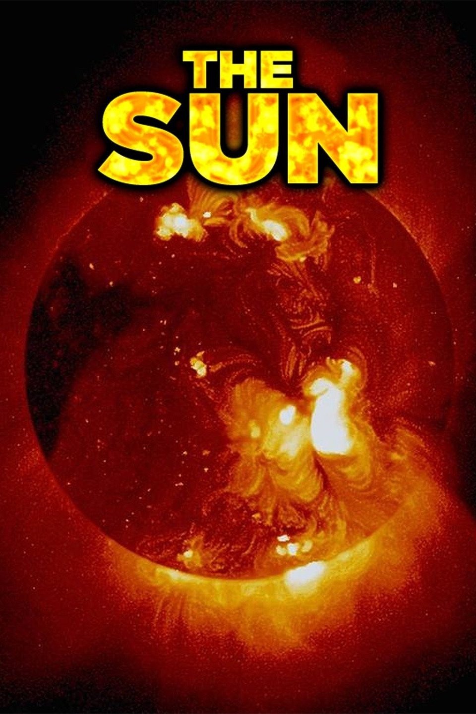 The Sun Pictures | Rotten Tomatoes