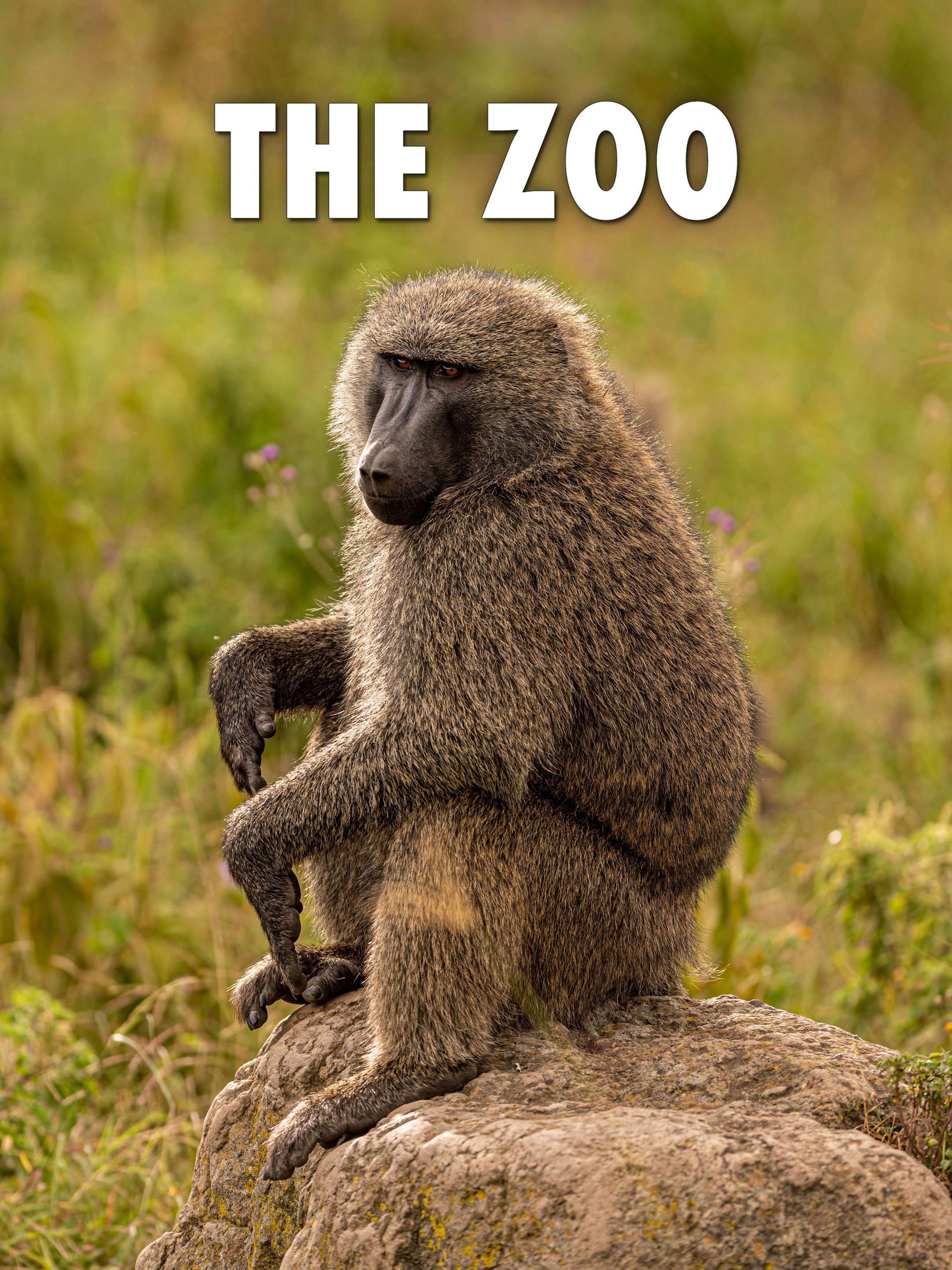 The Zoo Season 1 | Rotten Tomatoes