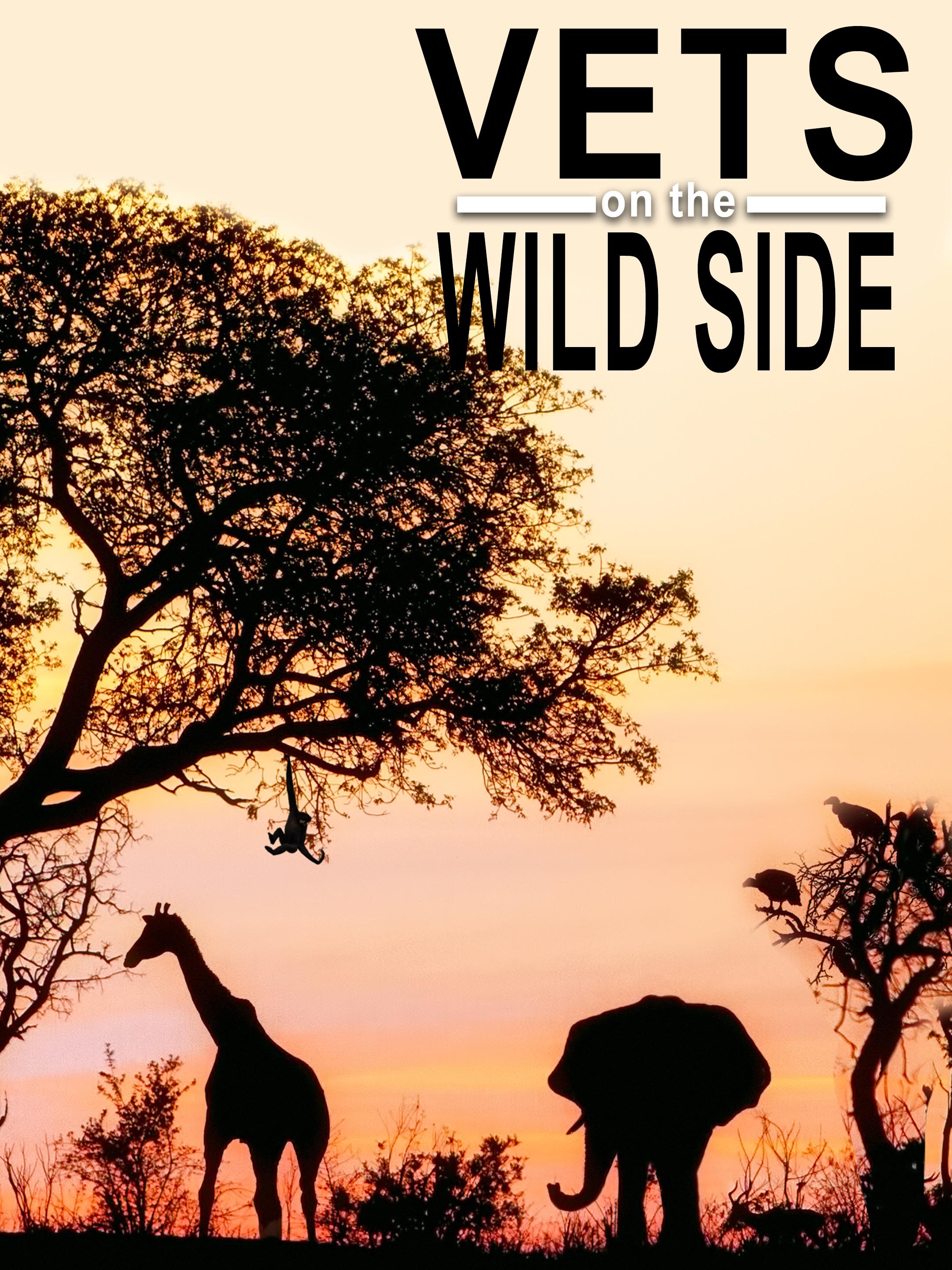 Vets on the Wildside Pictures | Rotten Tomatoes