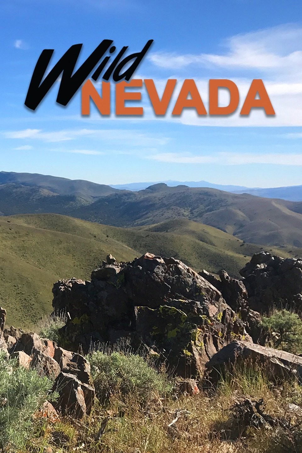 Wild Nevada | Rotten Tomatoes