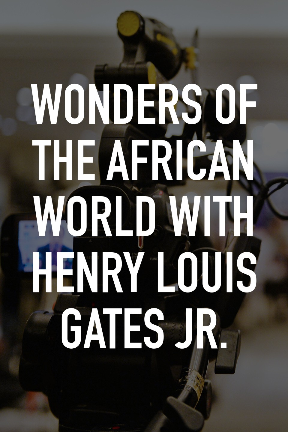 Wonders of the African World With Henry Louis Gates Jr. | Rotten Tomatoes