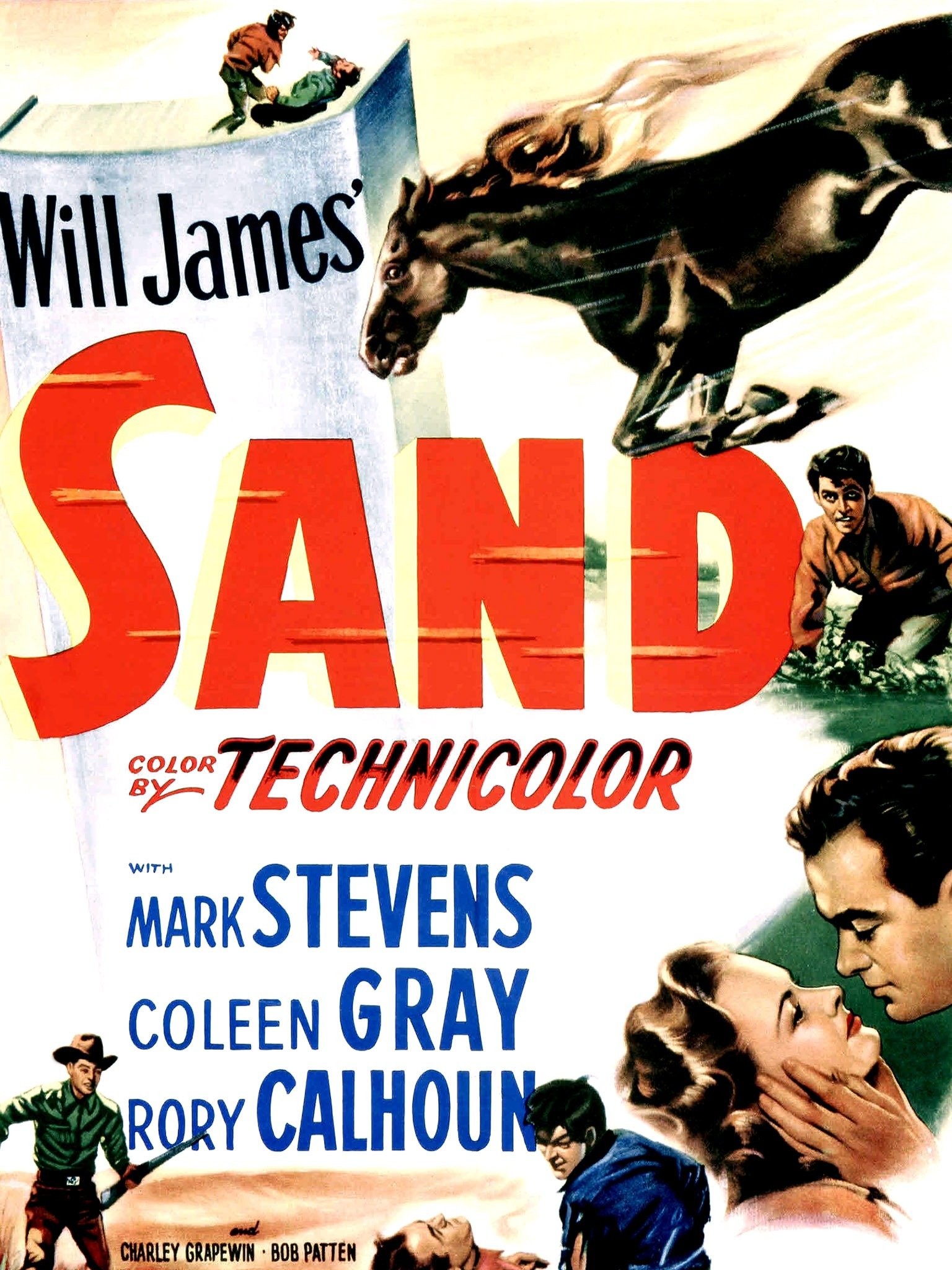 Sand Pictures | Rotten Tomatoes