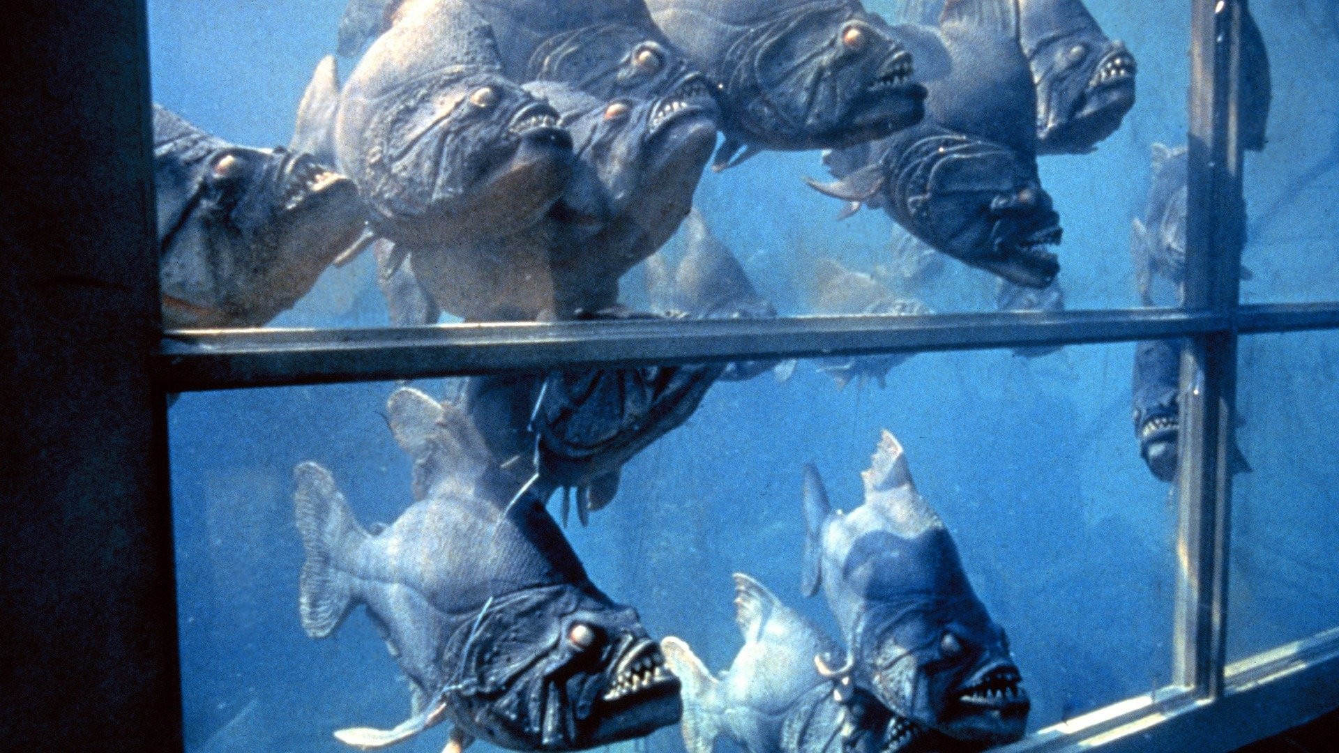 Piranha Movie 1978