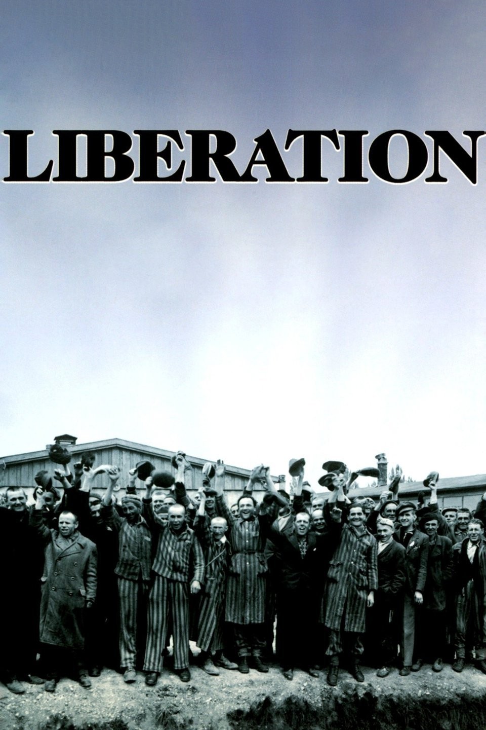 Liberation Pictures | Rotten Tomatoes