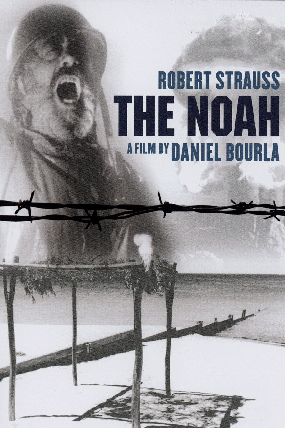 The Noah Pictures | Rotten Tomatoes