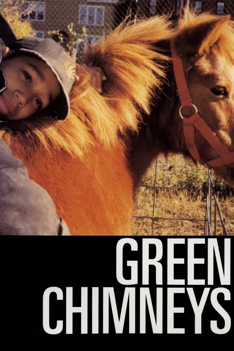 Green Chimneys | Rotten Tomatoes